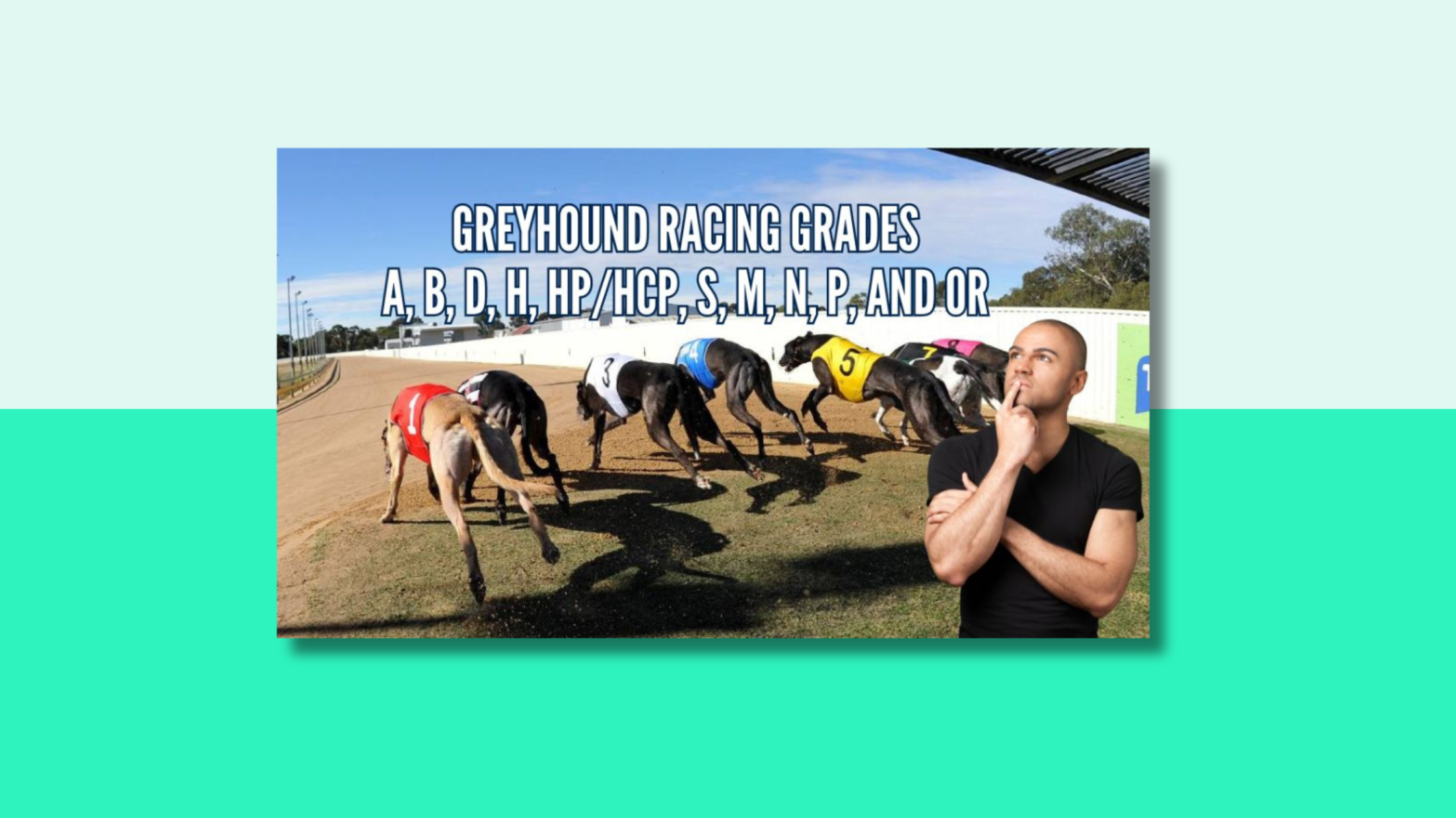 How To Bet On Greyhounds: A Comprehensive Guide - Outplayed